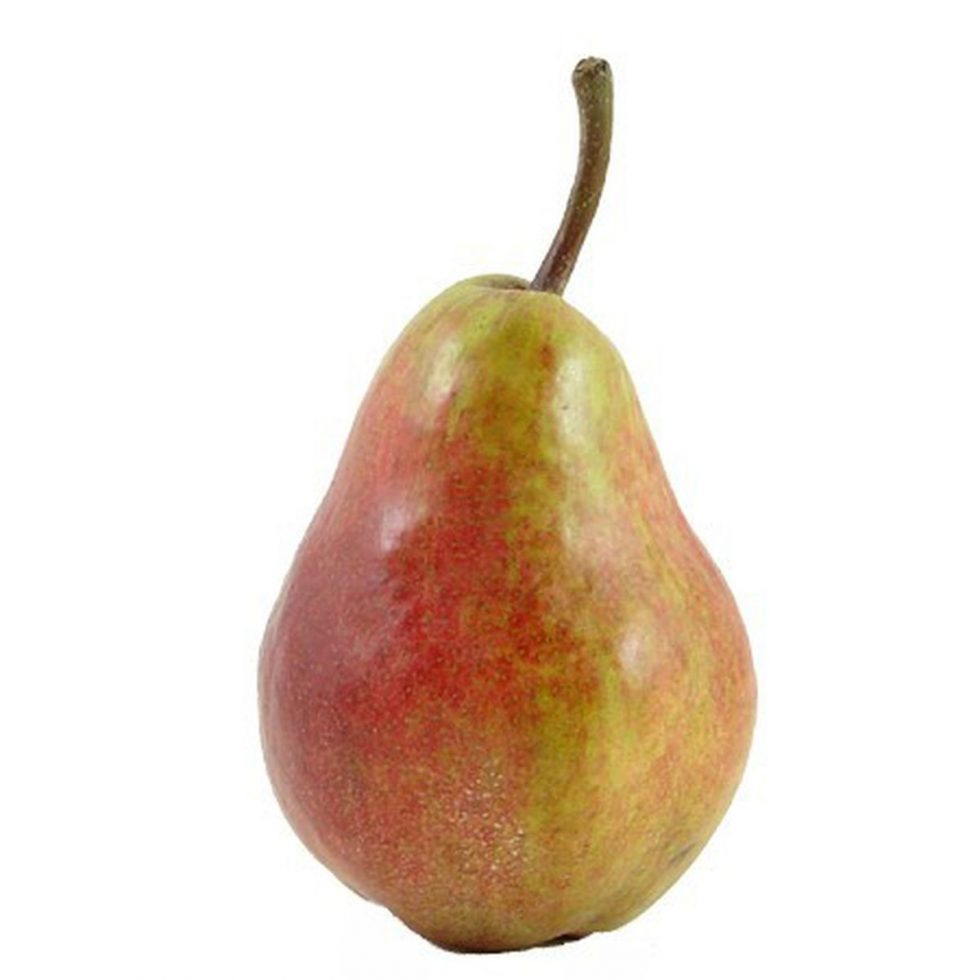 Poires bio - 8 variétés de culture biologique - Le Vieux Pointet